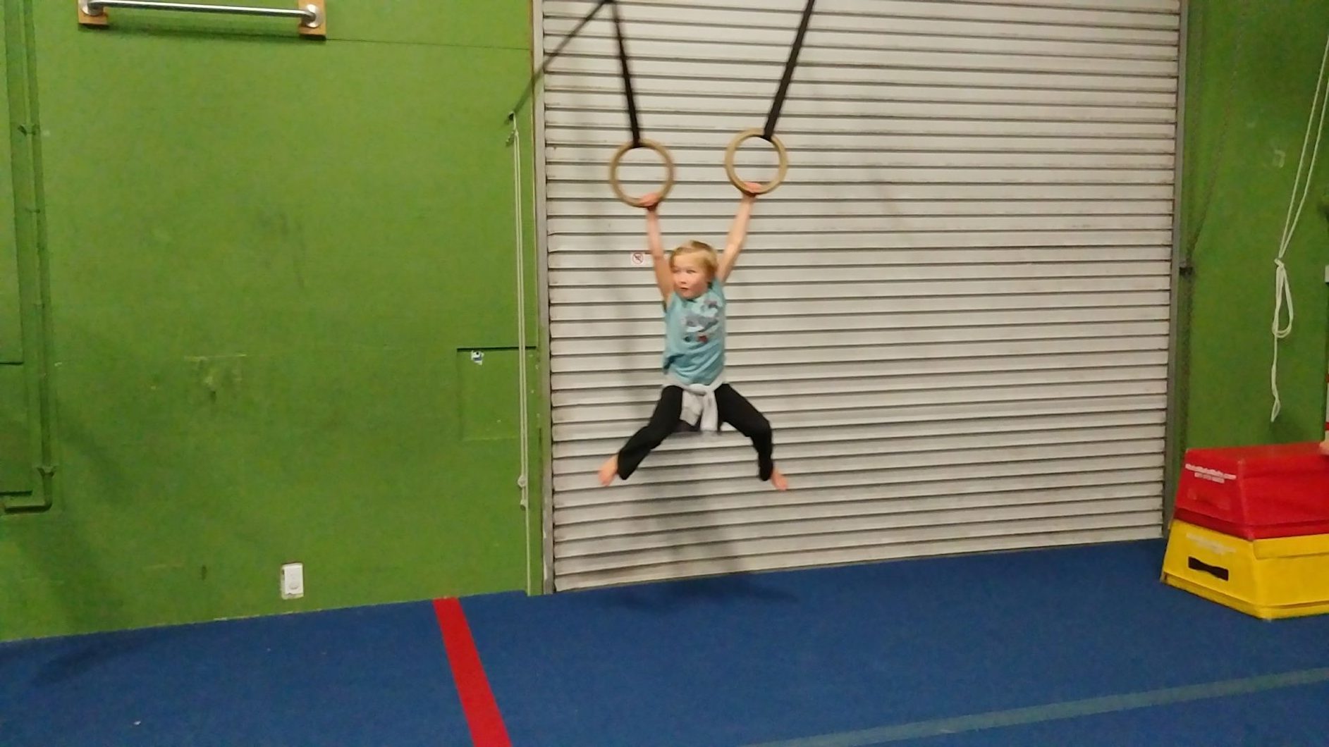 Charter/Home School Students - Flying Frog Academy