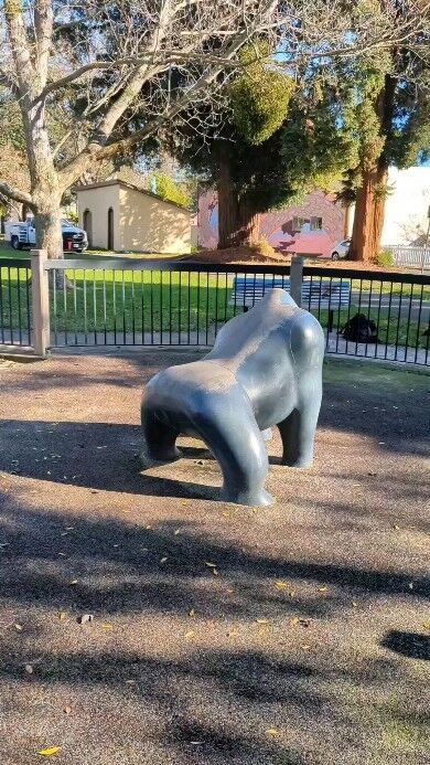 Contact - Flying Frog Academy