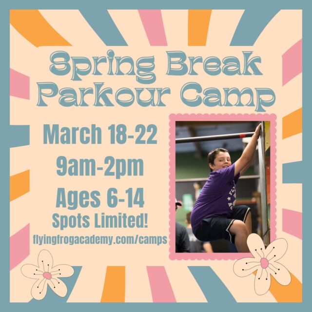 Contact - Flying Frog Academy