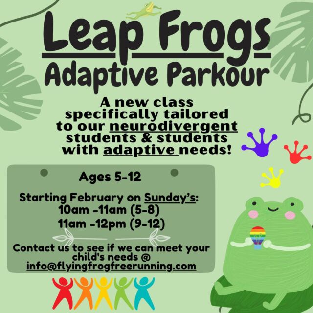 Contact - Flying Frog Academy