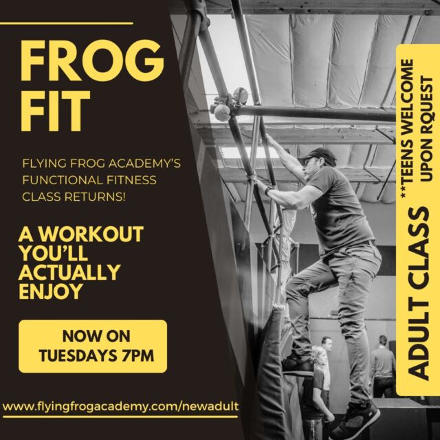 Contact - Flying Frog Academy