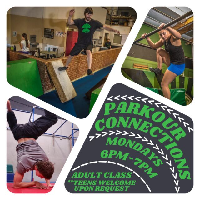 Contact - Flying Frog Academy