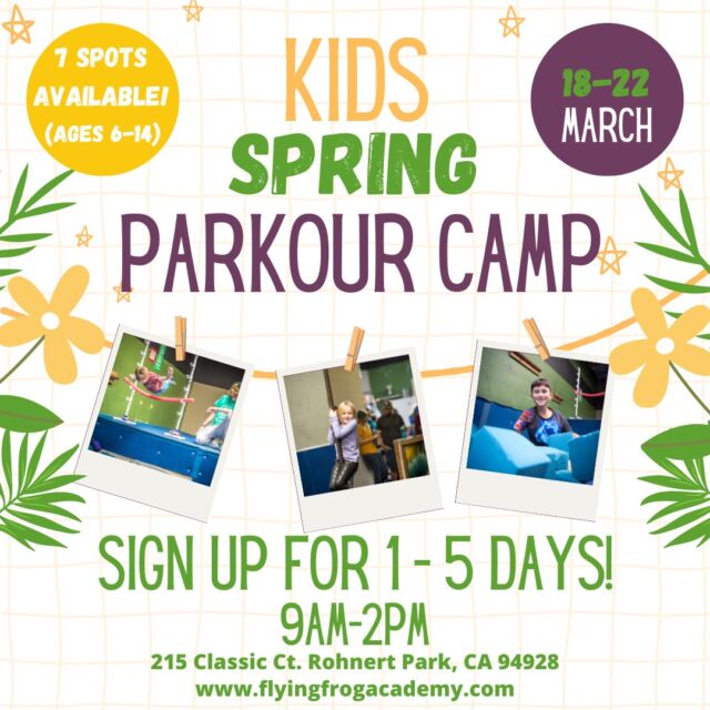 Contact - Flying Frog Academy