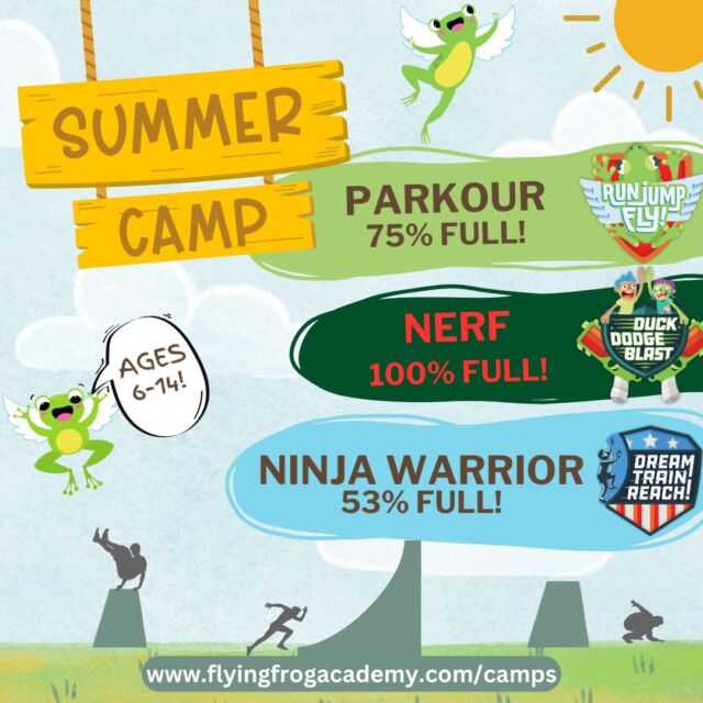 Contact - Flying Frog Academy